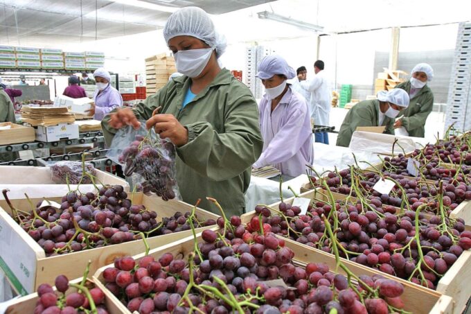 Agroexportaciones superaron los $15 mil millones en 2025